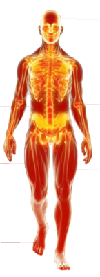 Infrarouge et santé - Health Mate Shop France